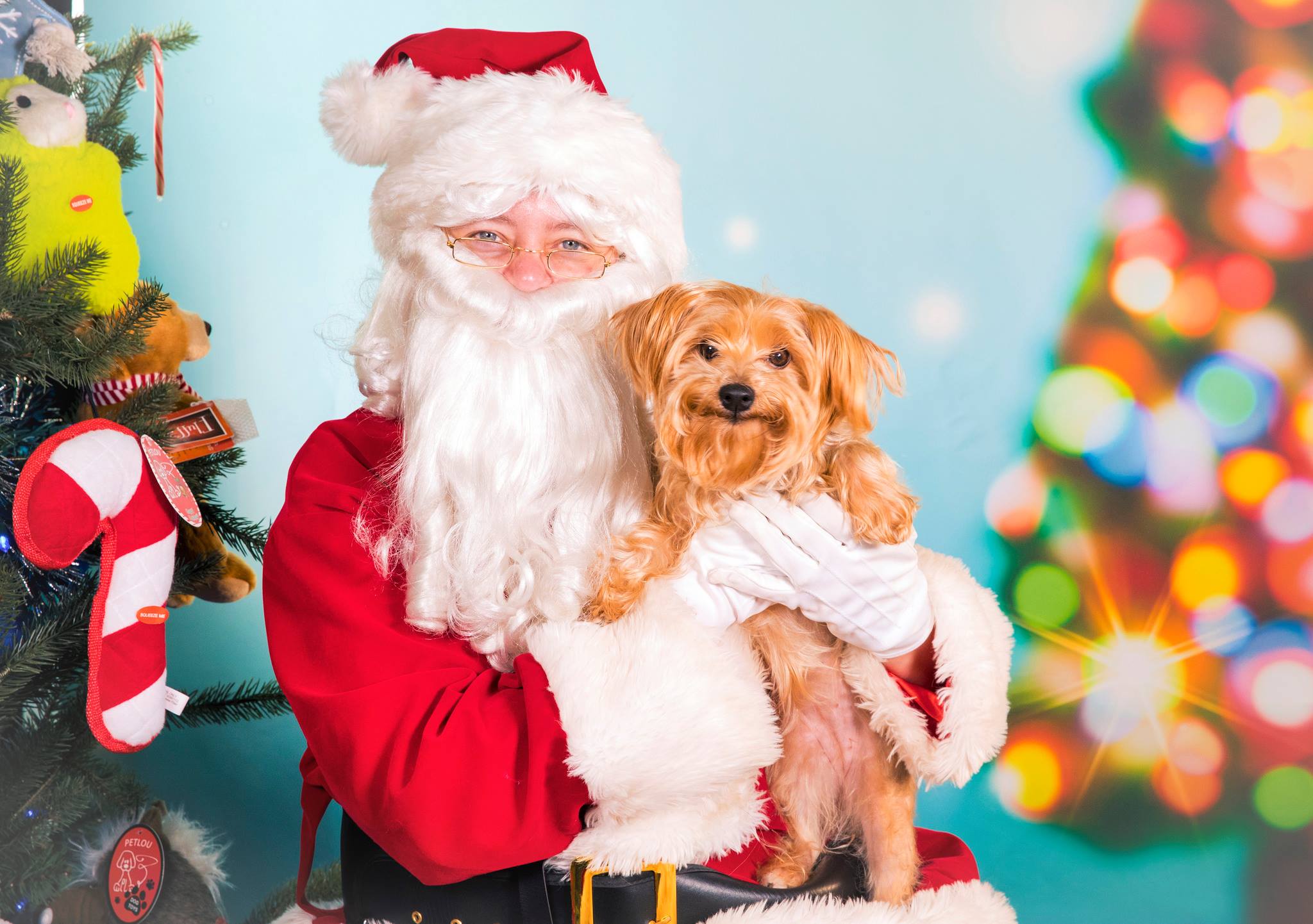 More Photos With Santa | The Pongo Fund